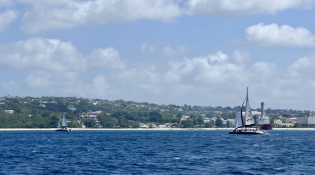 Jump Up On Kadooment Day | A Guide To Crop Over In Barbados (2025)